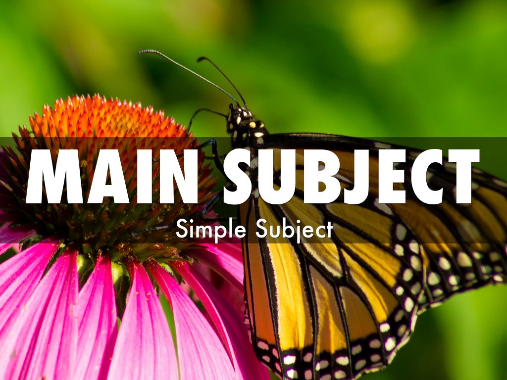 Main Subject By Dodell Main Subject By Dodell